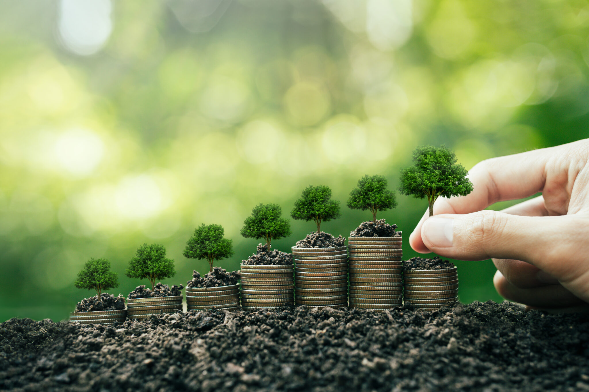 Chile – BELAT Grupo Financiero